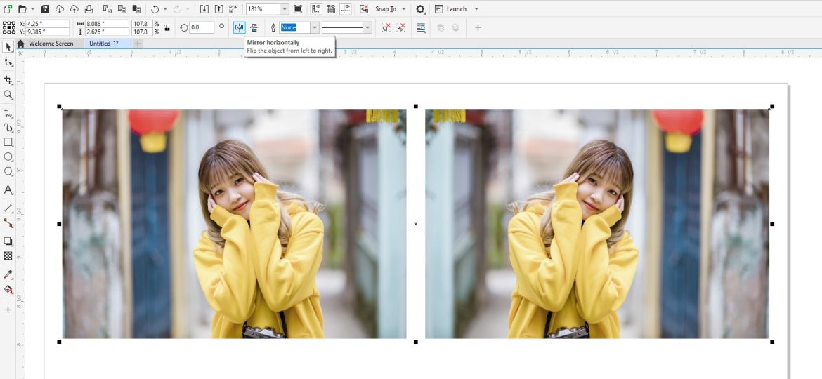 How To Flip Objects And Images On CorelDRAW Void Graphics