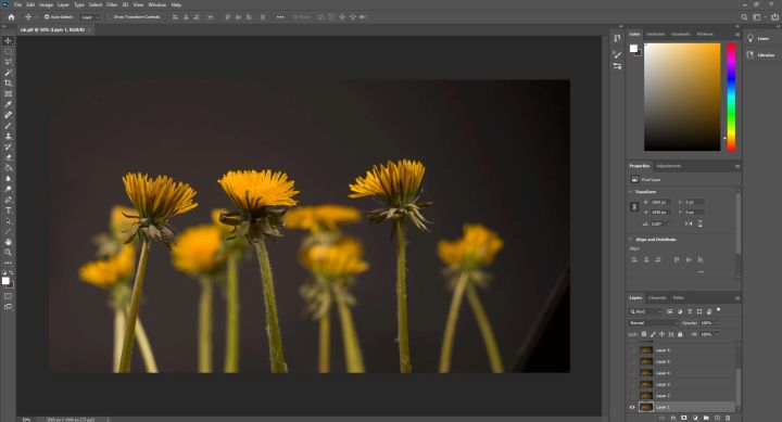 How to Make an Animated GIF In Photoshop – Void Graphics