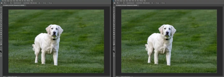 How to Invert Your Selection in Photoshop – Void Graphics